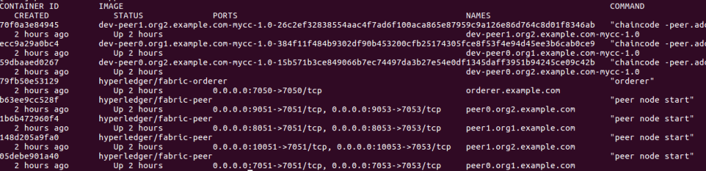 How to Install Hyperledger Explorer & Access Fabric Network - Analytics ...