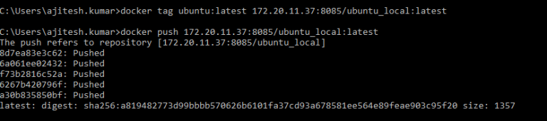 Configure Nexus Repository for Docker Registry (Windows) - Analytics Yogi