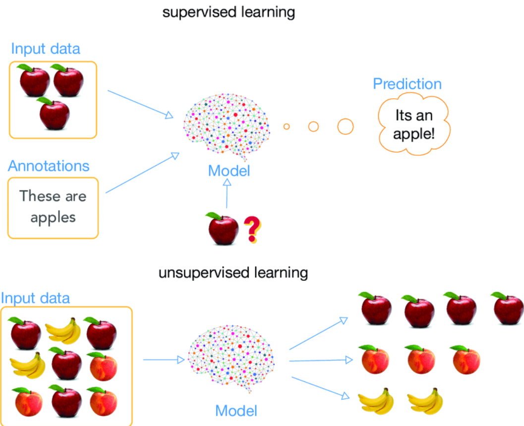 Different Types Of Machine Learning Models Algorithms Analytics Yogi